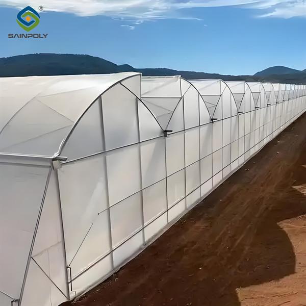 Quality Galvanized Steel Frame Greenhouse multi span greenhouse Film Covering Space Efficient for sale