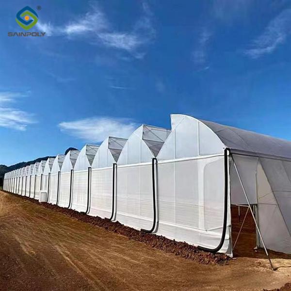 Quality Customizable Commercial Hydroponic Greenhouse Tomato Green House Low Maintenance for sale