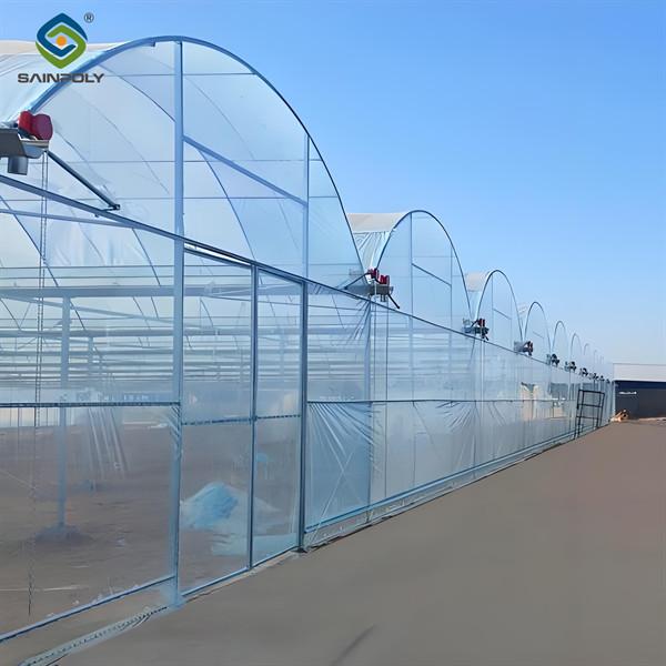 Quality Polycarbonate Covering Multi Span Greenhouse With Galvanized Steel Structure for sale