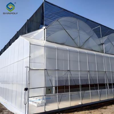 Cina Serra di mirtilli personalizzata con rivestimento di plastica impermeabile alla pioggia in vendita