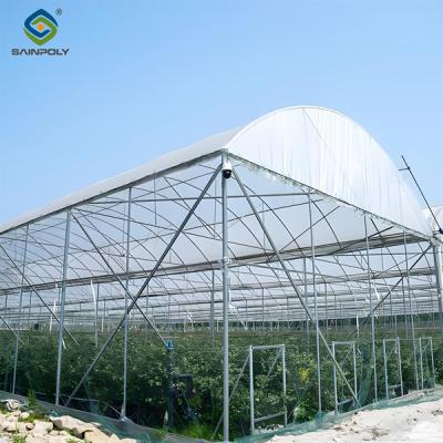 Cina 4 stagioni serra di tipo agricolo per la coltivazione di mirtilli mono strato in vendita