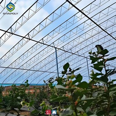 Cina Serra commerciale per la coltivazione di mirtilli agricoli in vendita