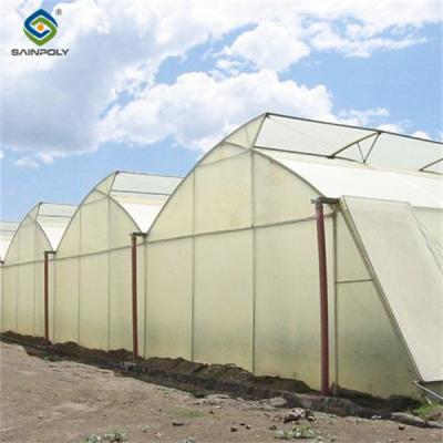 Cina OEM Gothic High Tunnel Greenhouse per piantare lattuga di fragole di pomodoro in vendita