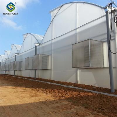 Cina Serra a telaio gotico Serra a pellicola di plastica multi-spans agricola di grandi dimensioni in vendita