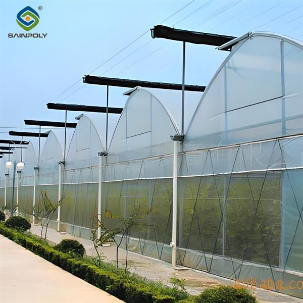 Quality Strong Ventilation Plastic Film Greenhouse With Hydroponic Growing System for sale