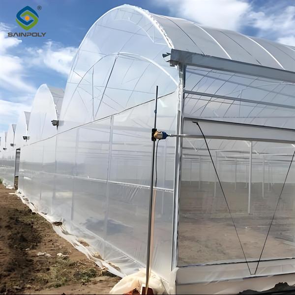 Quality Strong Ventilation Plastic Film Greenhouse With Hydroponic Growing System for sale