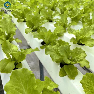 China Customization Hydroponic System Greenhouse With Rolling Benches for sale