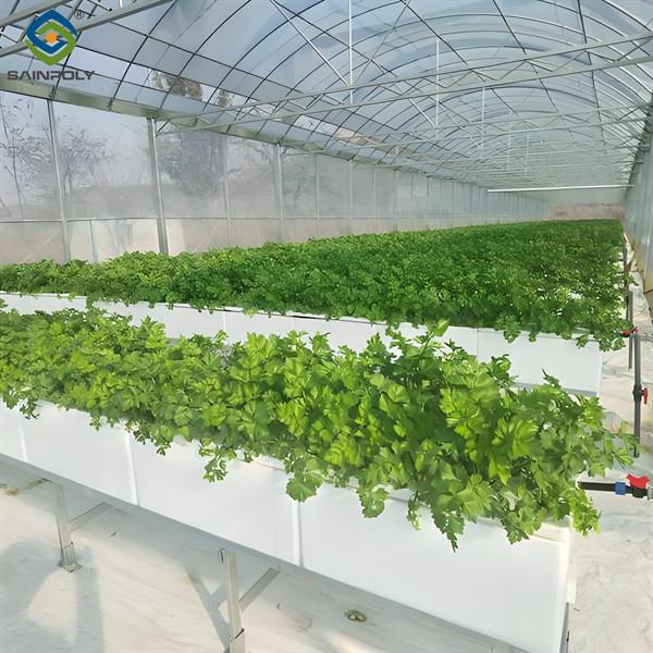 Quality Strong Ventilation Plastic Film Greenhouse With Hydroponic Growing System for sale