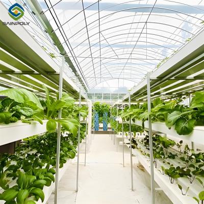 Cina Serra per coltivazione di pomodori senza suolo con sistema idroponico Nft in vendita