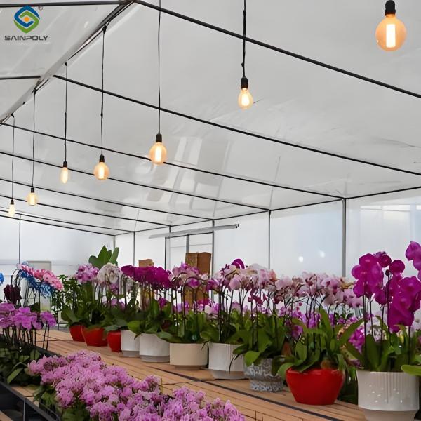 Quality Waterproof Flower Greenhouse Multi Span Greenhouse With Strong Load Bearing for sale
