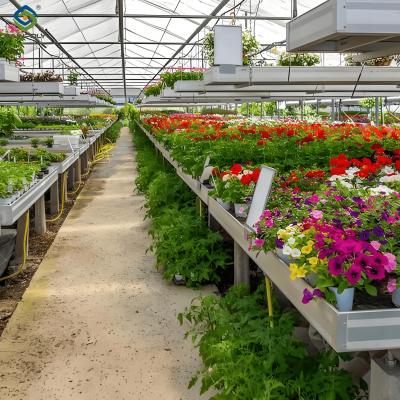 Cina Serra a policarbonato a pellicola di vetro Serra a fiori con sistemi intelligenti in vendita