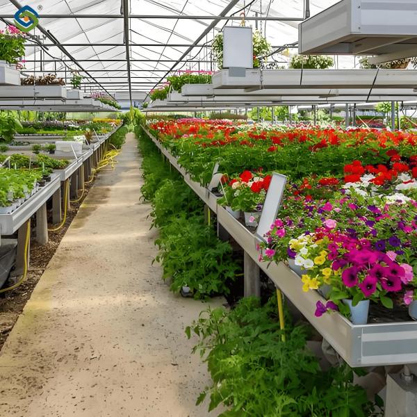 Quality Glass Film Polycarbonate Greenhouse Flower Greenhouse With Intelligent Systems for sale
