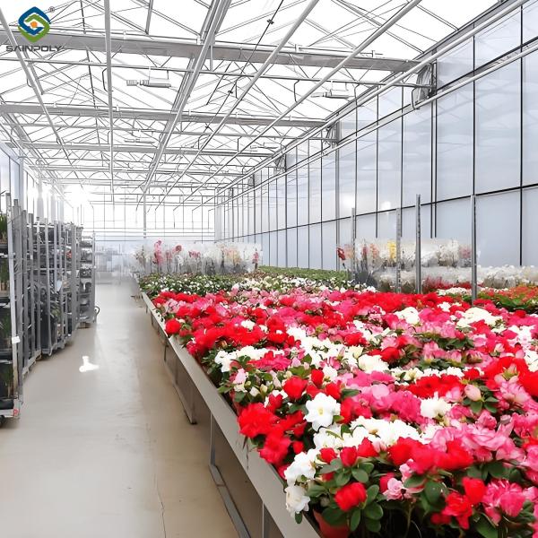 Quality Customized Flower Green House Easy Assembly Plant Greenhouses for sale
