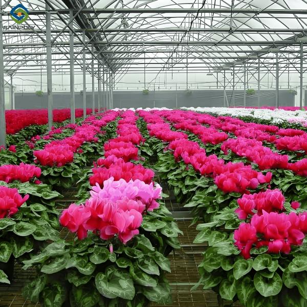 Quality Customized Flower Green House Easy Assembly Plant Greenhouses for sale
