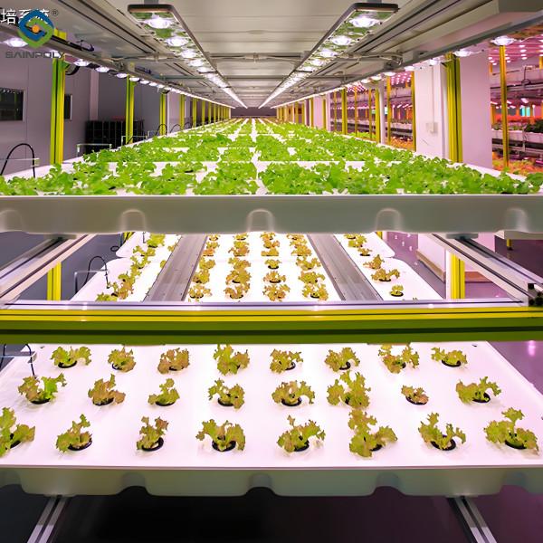Quality Customized Size Lettuce Green House Easy Installation With Sliding / Swing Door for sale