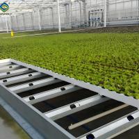 Quality Customized Size Lettuce Green House Easy Installation With Sliding / Swing Door for sale
