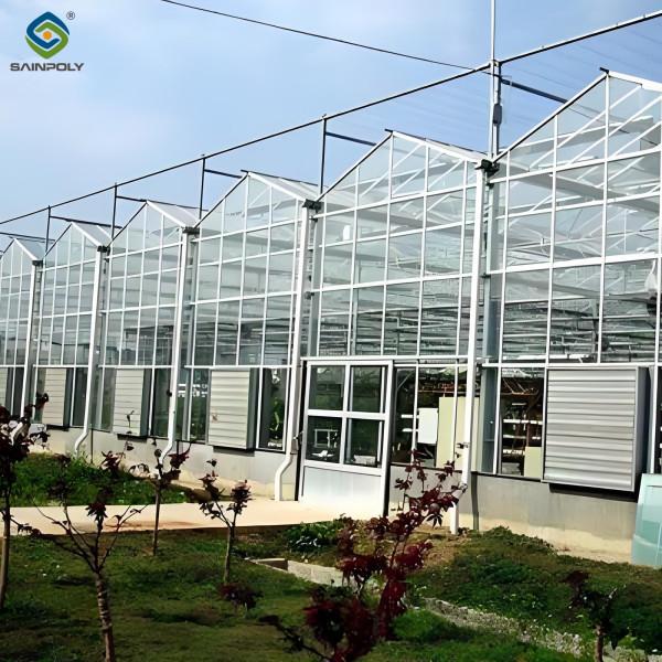 Quality High Yield Agricultural Lettuce Greenhouse With Intelligent Control System for sale