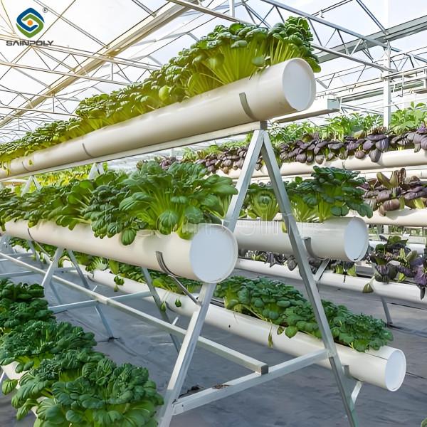 Quality Large Size Commercial Lettuce Greenhouse With Hydroponic Growing Systems for sale