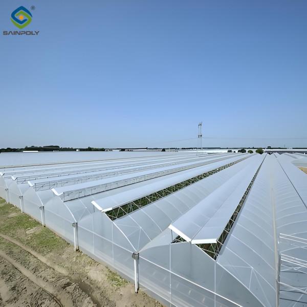 Quality Customizable Multi Span Greenhouse For Tomato Plants Growing for sale