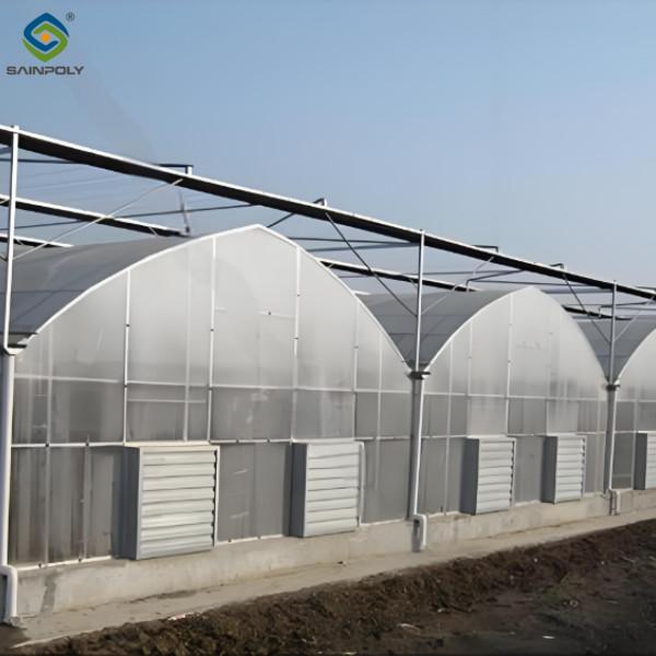 Quality Easy To Assemble Multi Span Greenhouse For Growing Vegetables And Flowers for sale