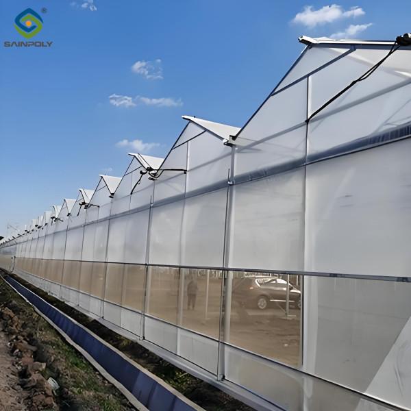 Quality Easy To Assemble Multi Span Greenhouse For Growing Vegetables And Flowers for sale