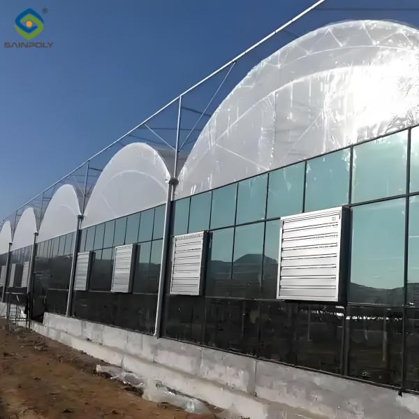 Quality Hydroponic Glass / Pc Sheet Greenhouse With Tomato Growing System Large for sale