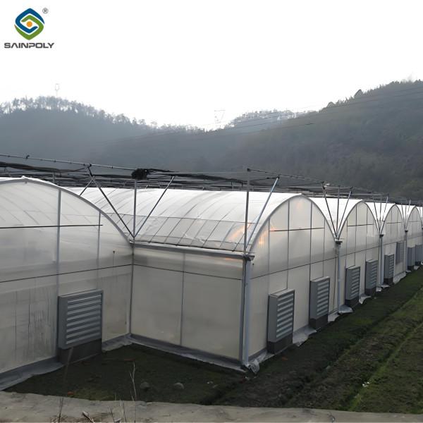 Quality Polycarbonate Covering Multi Span Greenhouse With Galvanized Steel Structure for sale