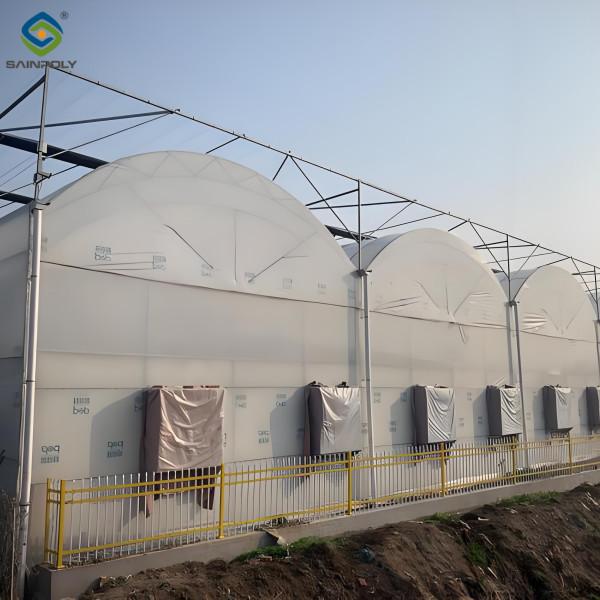 Quality Customizable Multi Span Greenhouse For Tomato Plants Growing for sale
