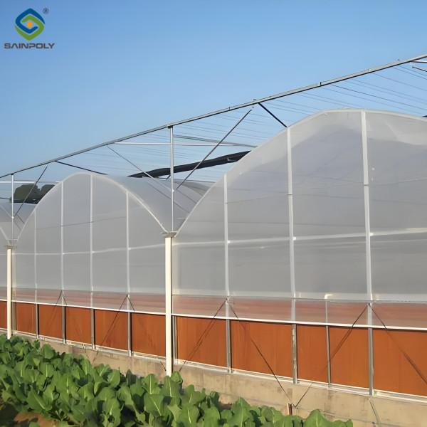 Quality Hydroponic Glass / Pc Sheet Greenhouse With Tomato Growing System Large for sale