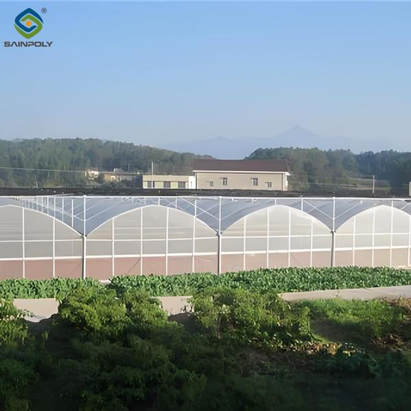 Quality Multispan Vegetable Growing Greenhouse Commercial Tunnel Greenhouse for sale