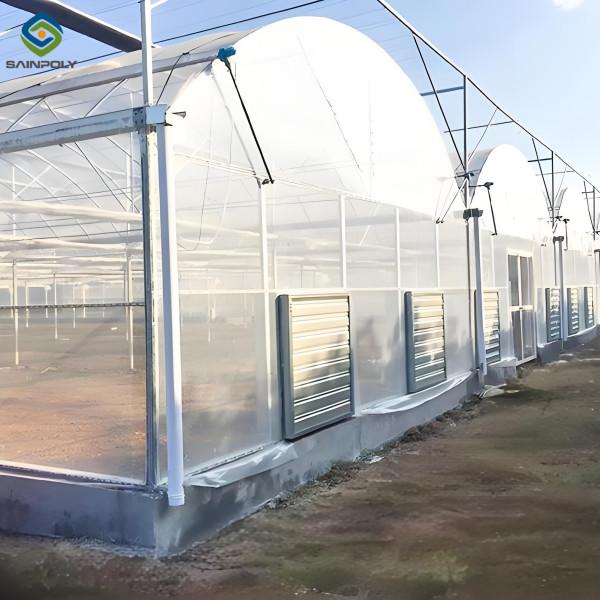 Quality Galvanized Steel Multispan Commercial Polycarbonate Greenhouse Customized Length for sale