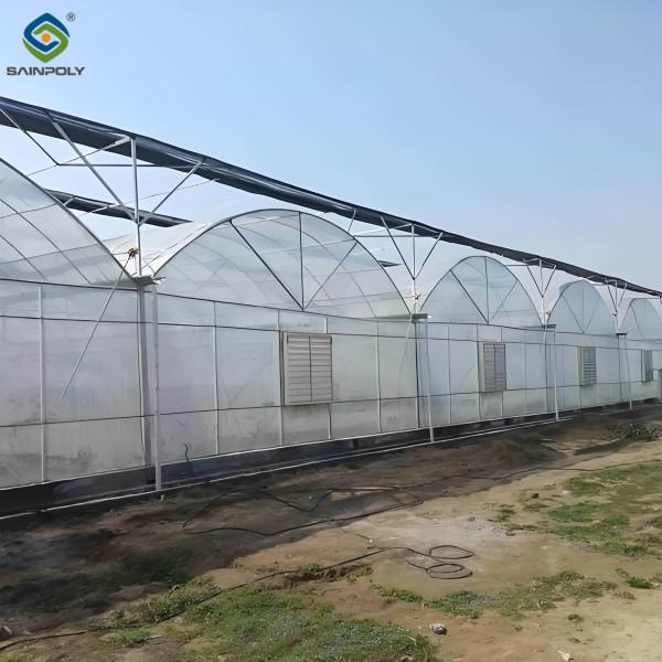 Quality Galvanized Steel Multispan Commercial Polycarbonate Greenhouse Customized Length for sale