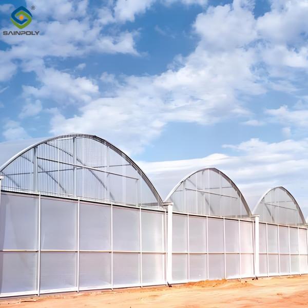 Quality 30m/50m/60m Length Galvanized Steel Greenhouse Multi Span Greenhouse for sale