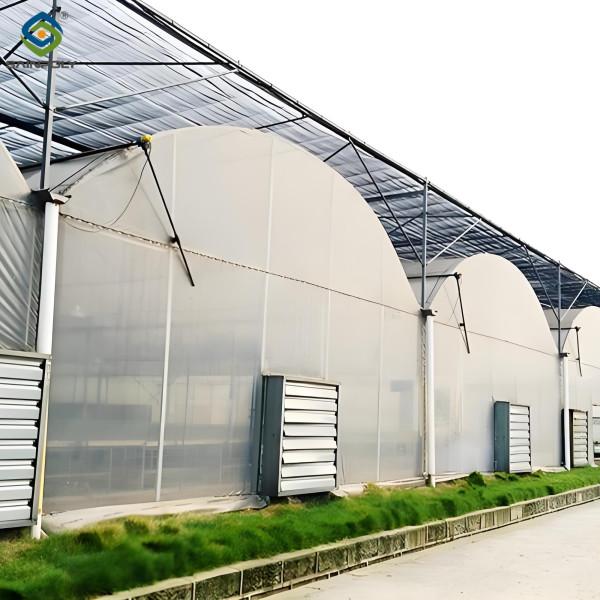 Quality Agricultural Multi Span Poly Film Greenhouse Stable Hydroponic Growing Systems for sale