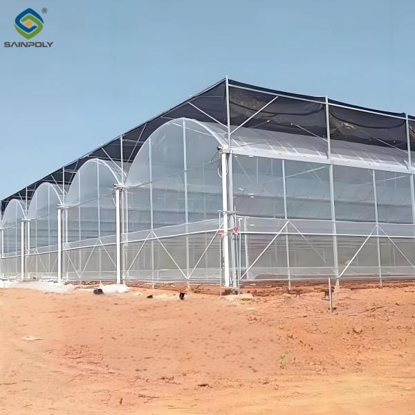 Quality Computerized Control Agriculture Commercial Greenhouse Space Efficient for sale