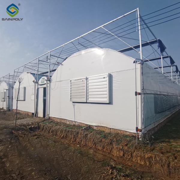 Quality Multispan Vegetable Growing Greenhouse Commercial Tunnel Greenhouse for sale