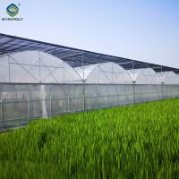 Quality Commercial Agriculture Multi Span Poly Film Greenhouse Transparent Wind for sale