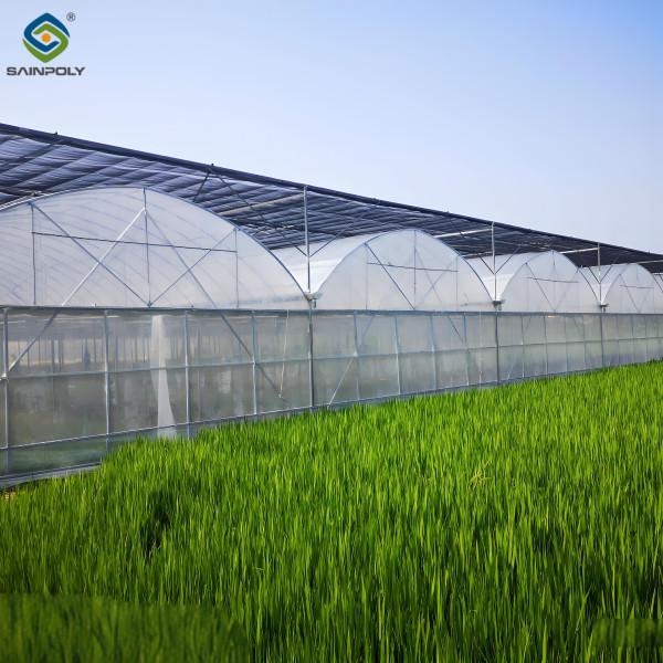 Quality Commercial Agriculture Multi Span Poly Film Greenhouse Transparent Wind Resistance for sale