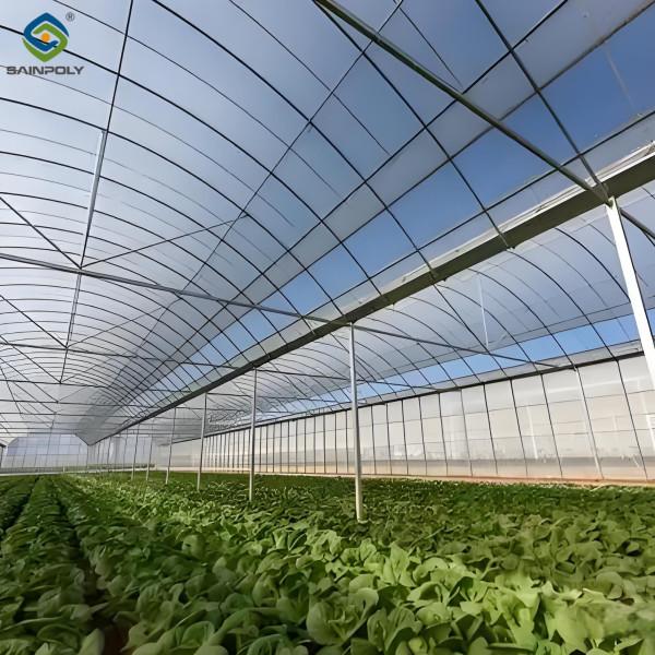 Quality Sainpoly Large Commercial Greenhouse With Hydroponic Growing System for sale