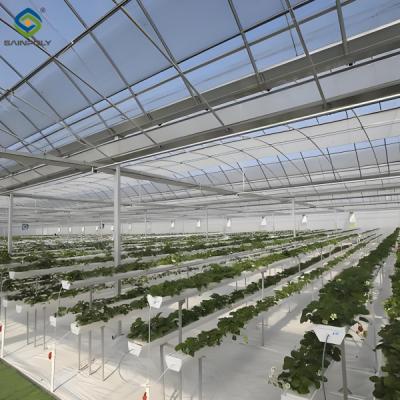 Cina Agricoltura Commerciale Multi-Span Poly Film Serra Trasparente Resistenza al vento in vendita