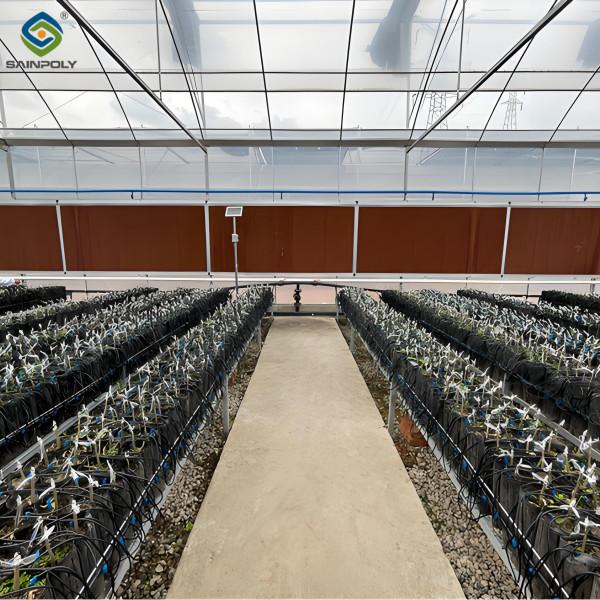 Quality Multi Span Commercial Agriculture Film Greenhouses For Tomatoes Cucumber for sale