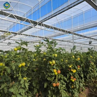 Cina Agricoltura Commerciale Multi-Span Poly Film Serra Trasparente Resistenza al vento in vendita
