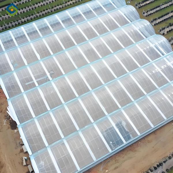 Quality Sainpoly Large Commercial Greenhouse With Hydroponic Growing System for sale
