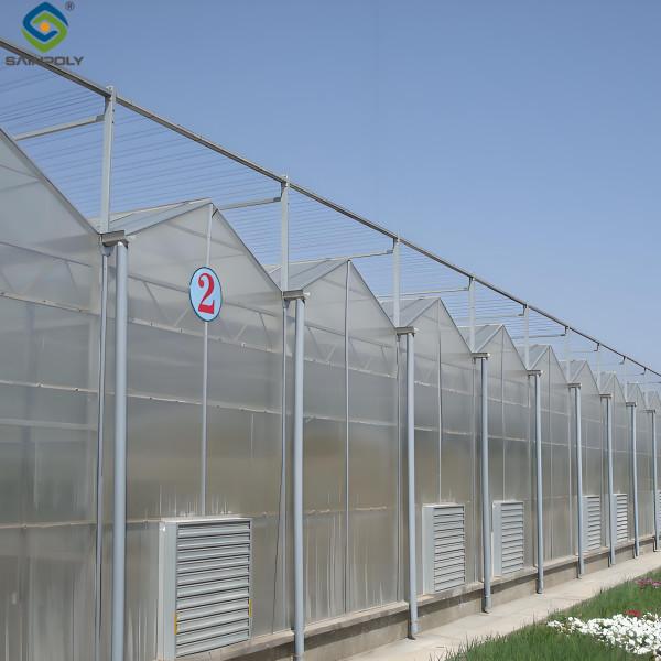 Quality Strong Structure Galvanized Venlo Type Greenhouse Commerical Green House for sale