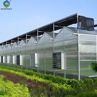 Quality Venlo Style Polycarbonate Farming Green House Customizable Size for sale