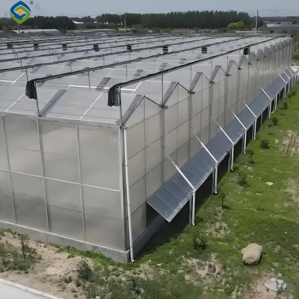 Quality Venlo Style Polycarbonate Farming Green House Customizable Size for sale