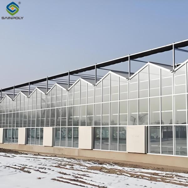 Quality Smart Multi Span Venlo Glass Greenhouse Solar Photovoltaic Greenhouses Fruit for sale
