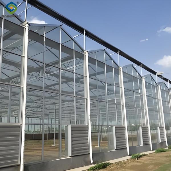 Quality Intelligent Venlo Glass Greenhouse For Tomato Strawberry Growing Turnkey Project for sale