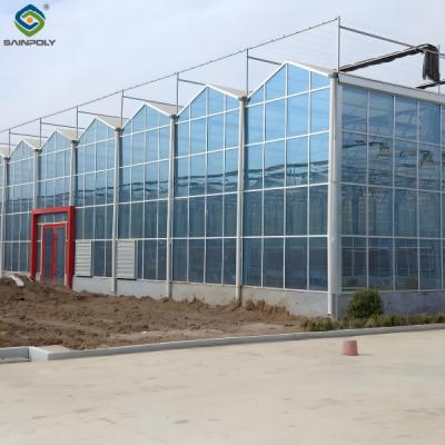 Cina Moderna pianta in serra in vetro Venlo Pomodori Cetrioli Alta resistenza al vento in vendita
