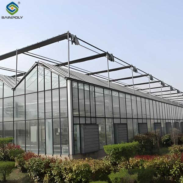 Quality Hydroponic Venlo PC Polycarbonate Solar Glass Greenhouse Customizable for sale
